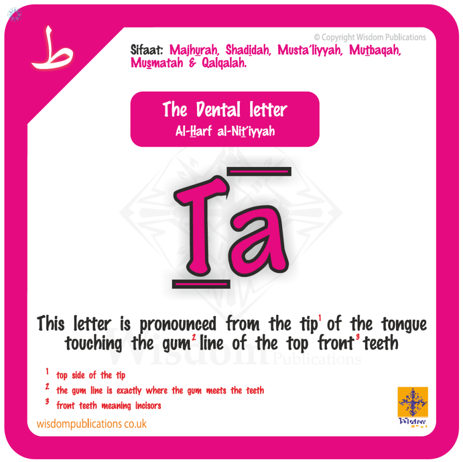 Essentials › Toys And Games › Arabic Alphabet Flashcards in Various Forms