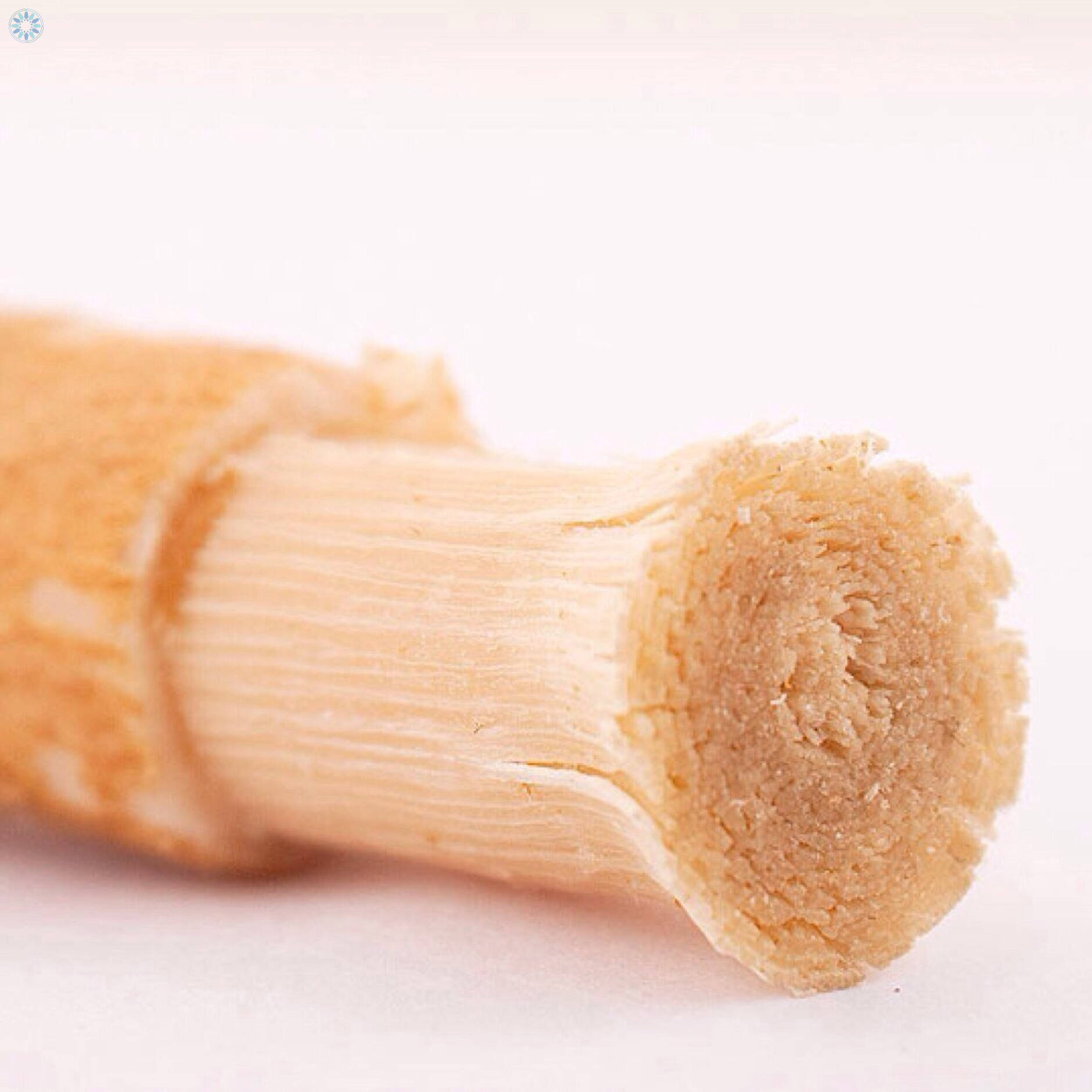 Health › Miswaks › Fresh Miswak (Individually Wrapped)