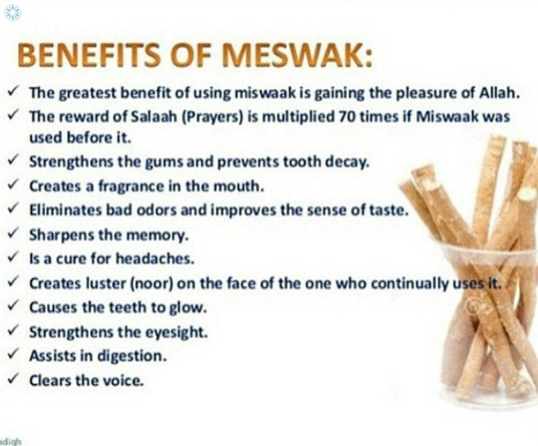 Health › Miswaks › Fresh Miswak (Individually Wrapped)