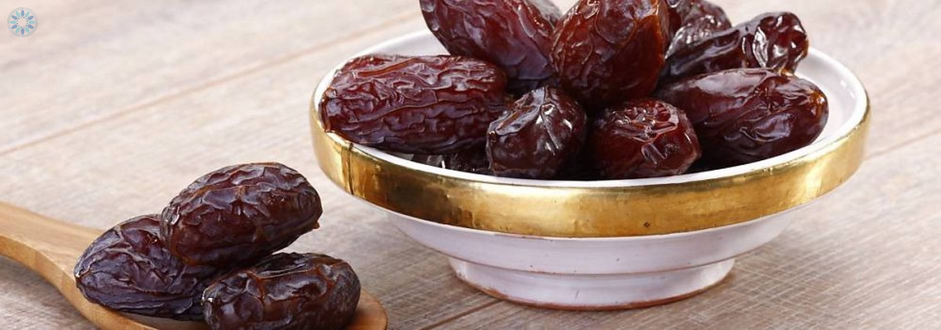 Halal Foods › Palestinian Products › Palestinian Jumbo Medjoul Dates ...
