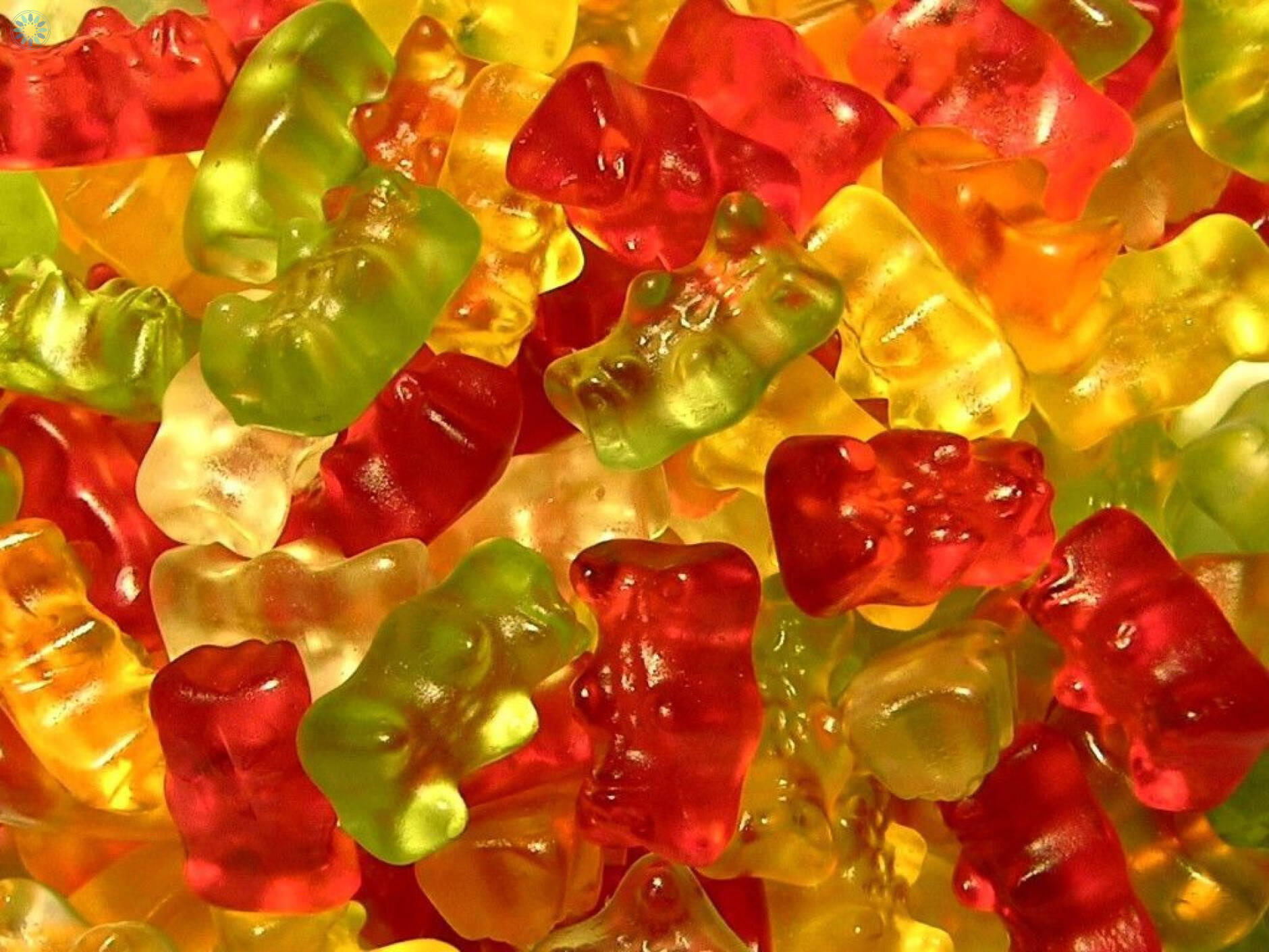 Halal Foods › Halal Sweets › Happy Bears AKA Teddy Bears (350 pieces in ...