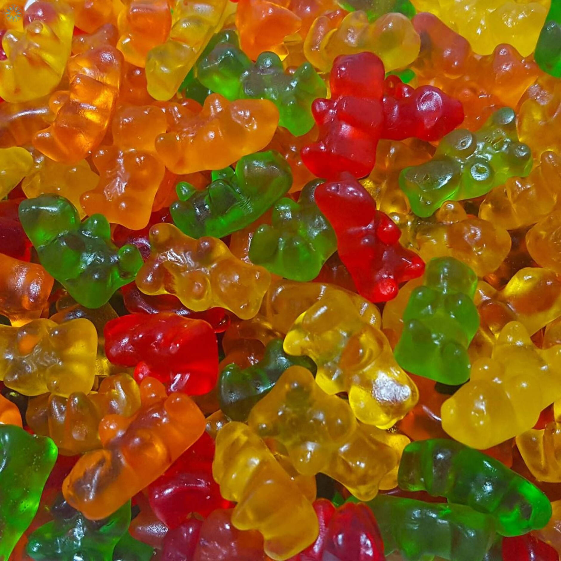 Halal Foods › Halal Sweets › Happy Bears AKA Teddy Bears (350 pieces in ...
