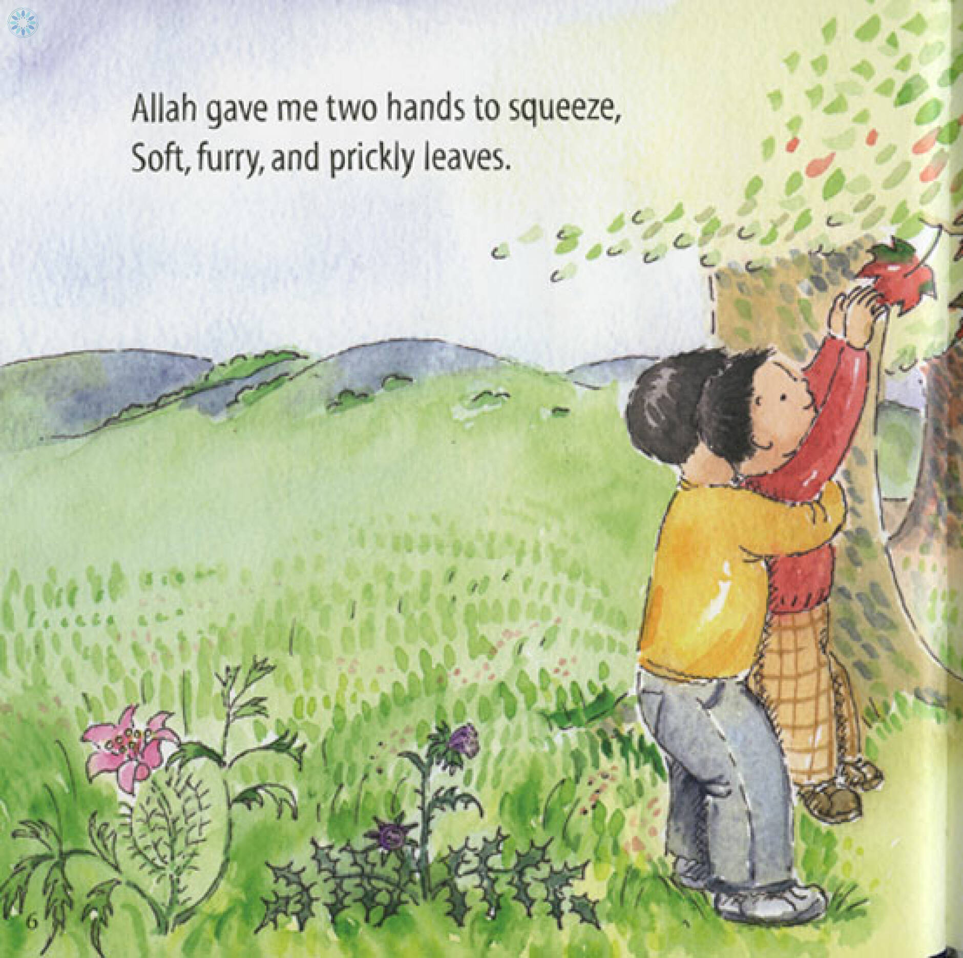 Books › The Islamic Foundation › Allah Gave Me Two Hands and Feet