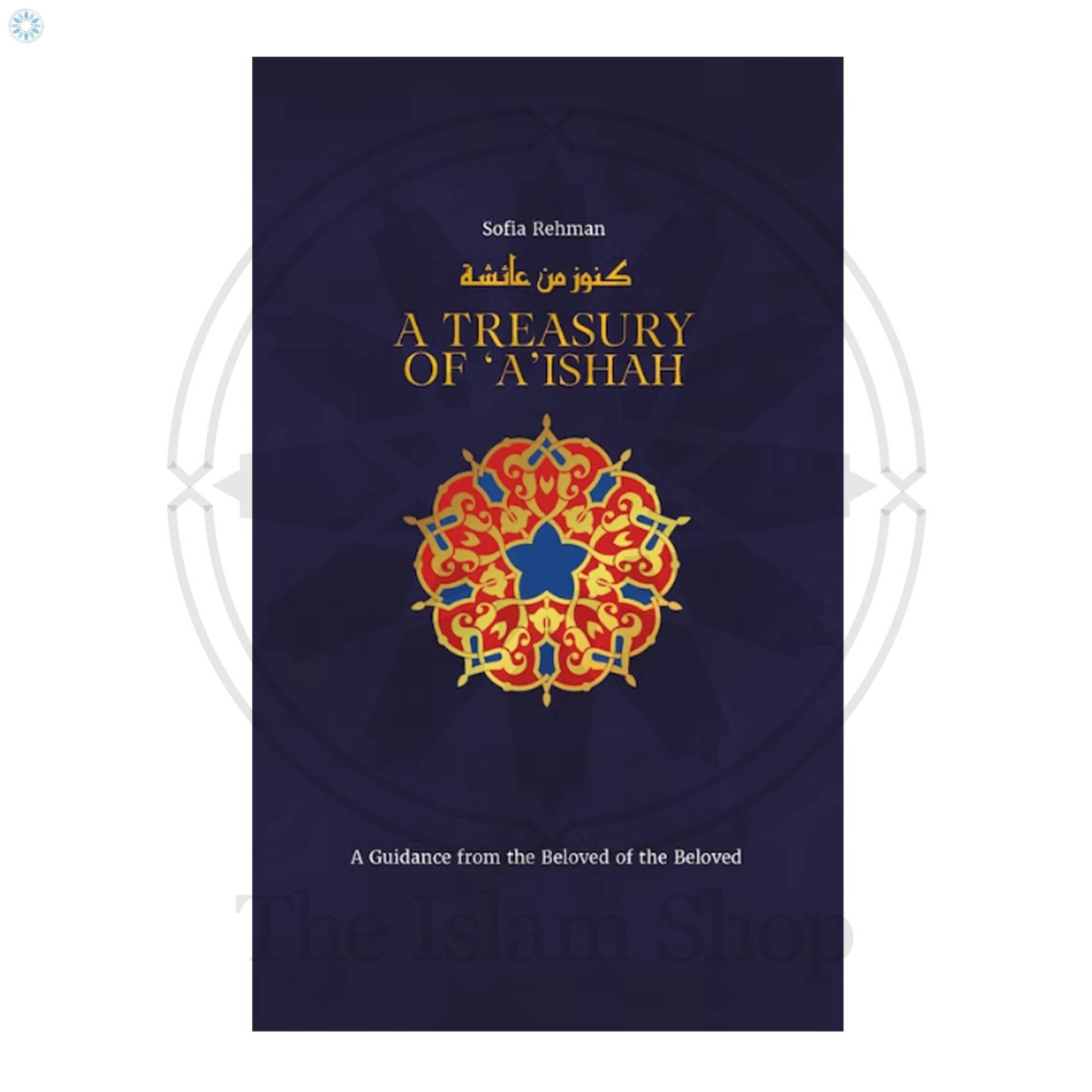 Books › Children Books › A Treasury of Aisha