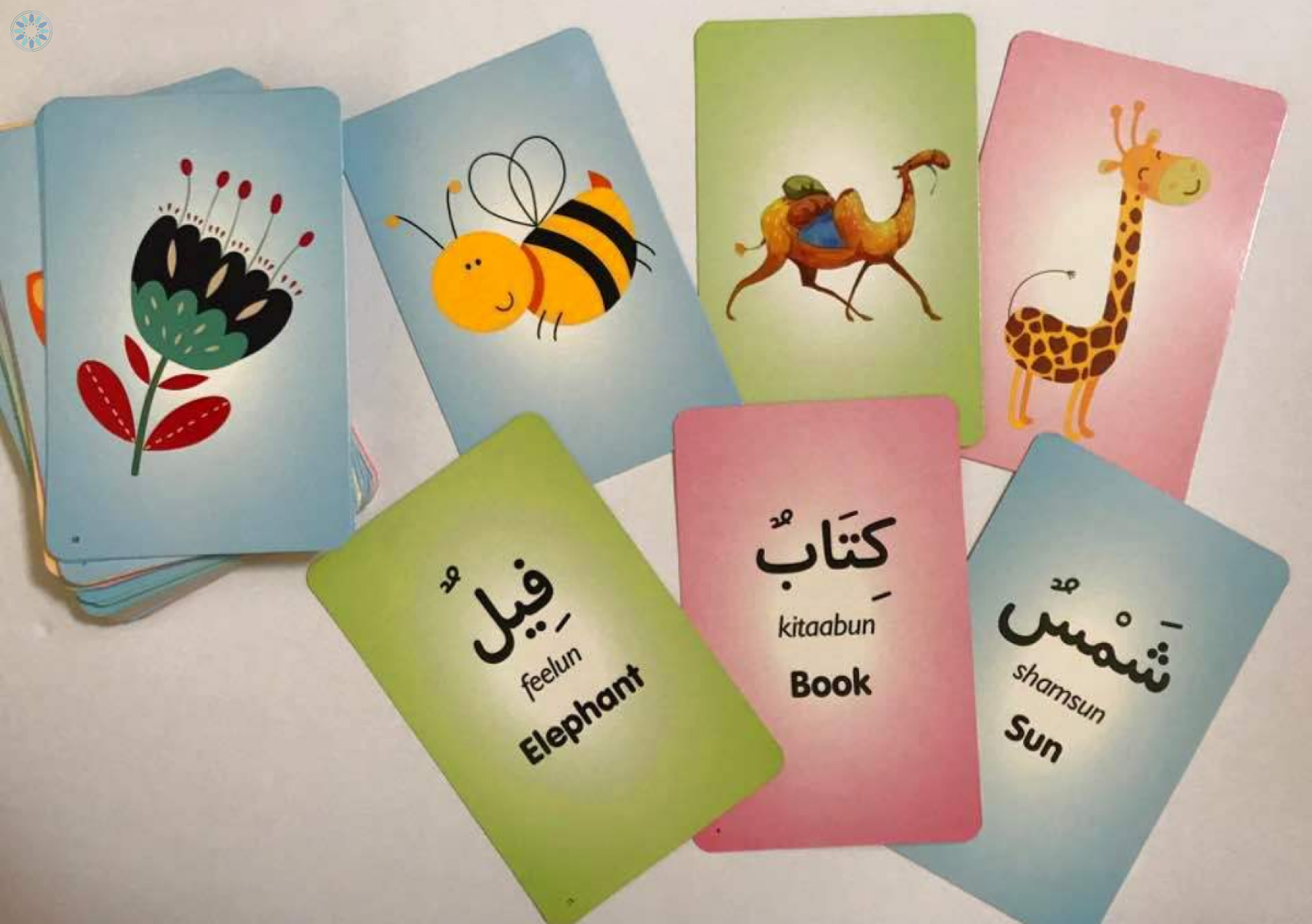 Essentials › Educational Resources › My First 50 Arabic Words