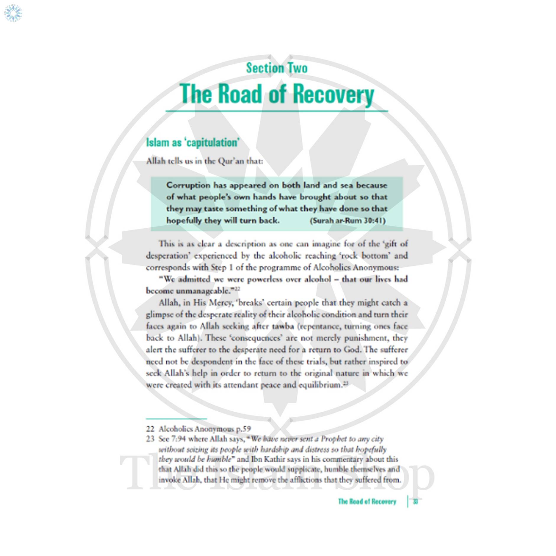 Books › Health Books › Hope for the Muslim Alcoholic Twelve Step ...