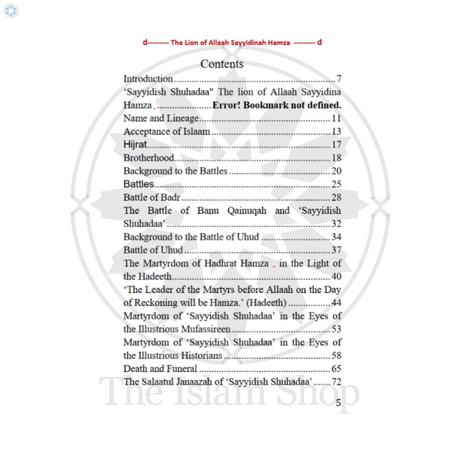 Books › Biographies › The Lion of Allah - Sayyidina Hamza