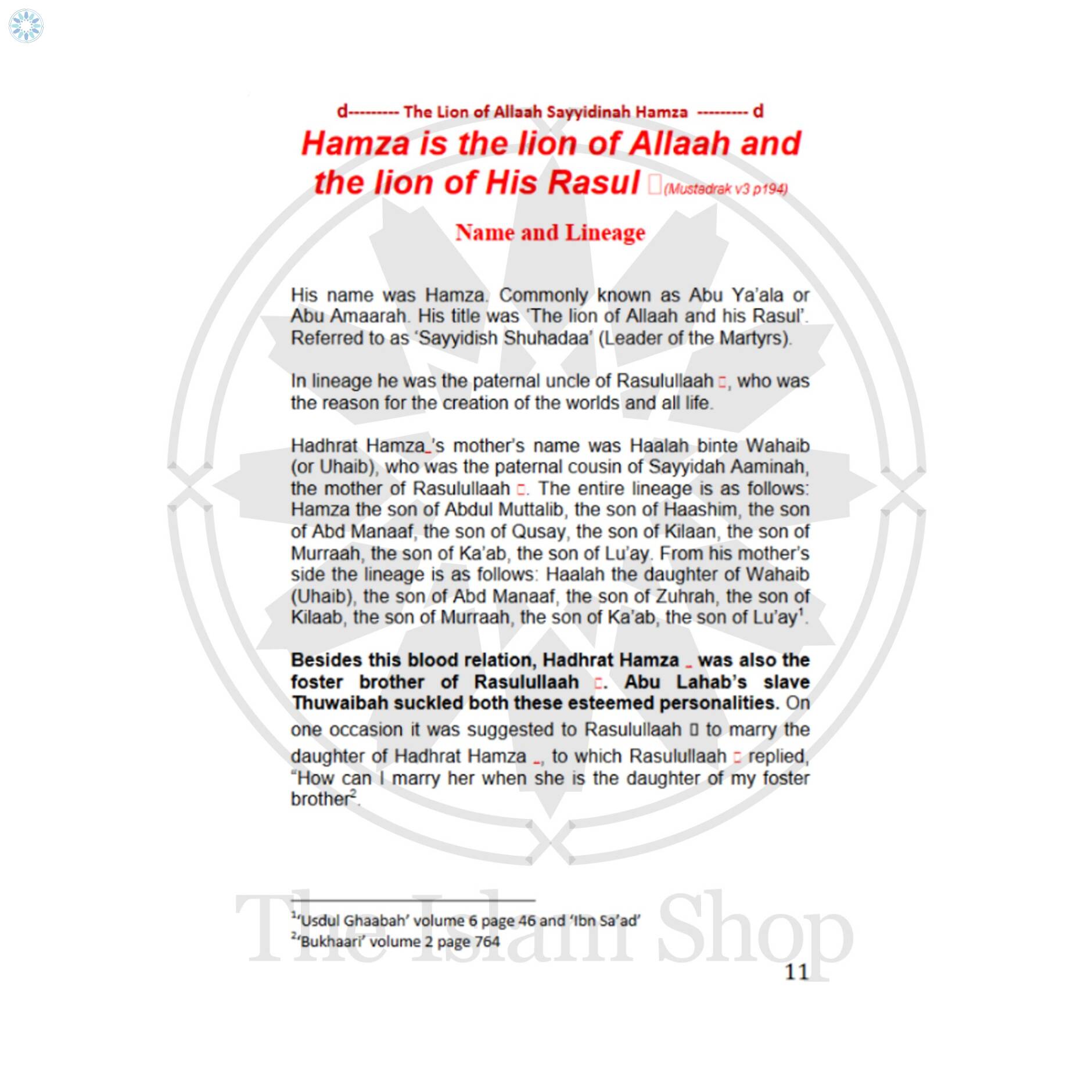 Books › Biographies › The Lion of Allah - Sayyidina Hamza