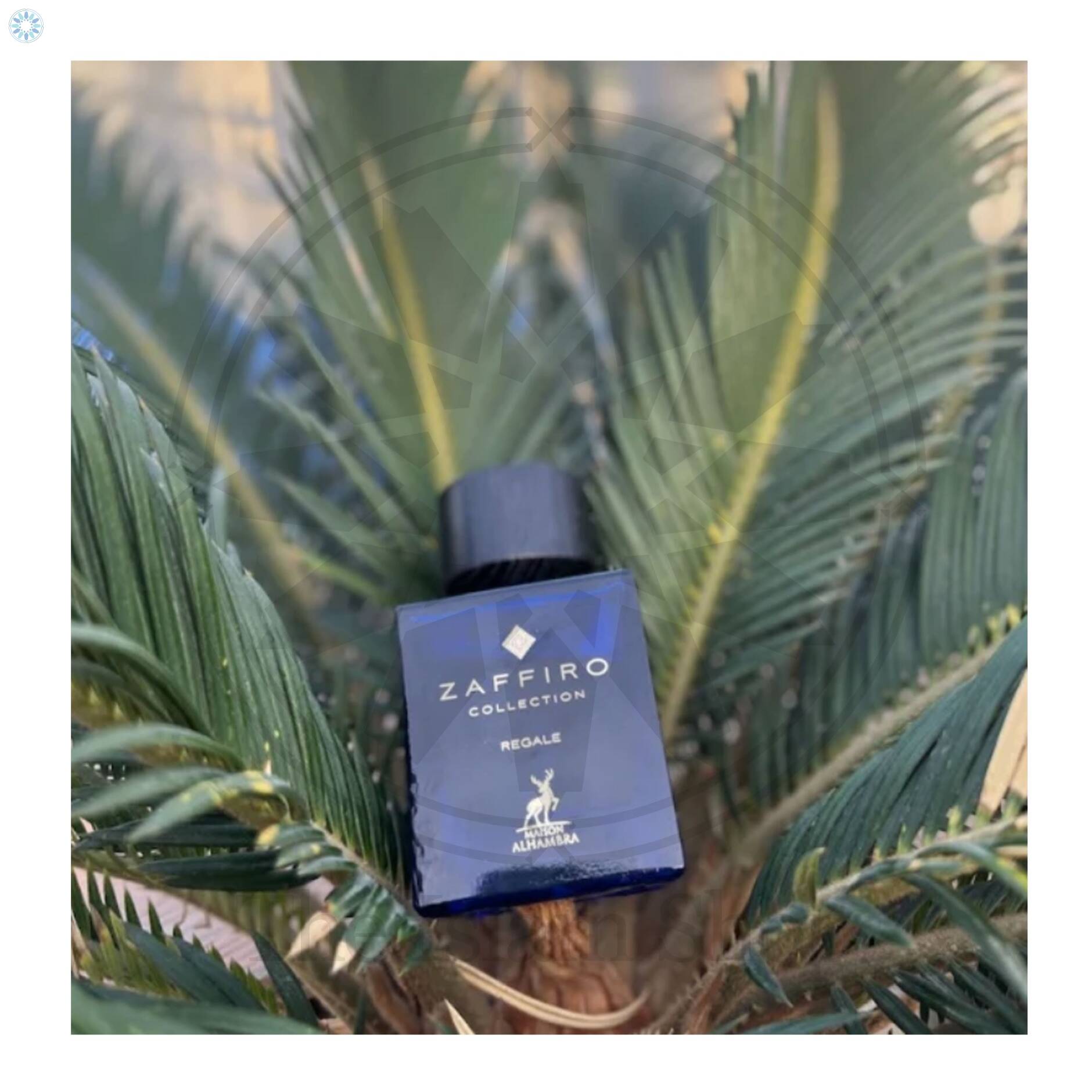 Perfumes › Eau De Parfum › Zaffiro Collection Regale 100ml EDP (Eau De ...