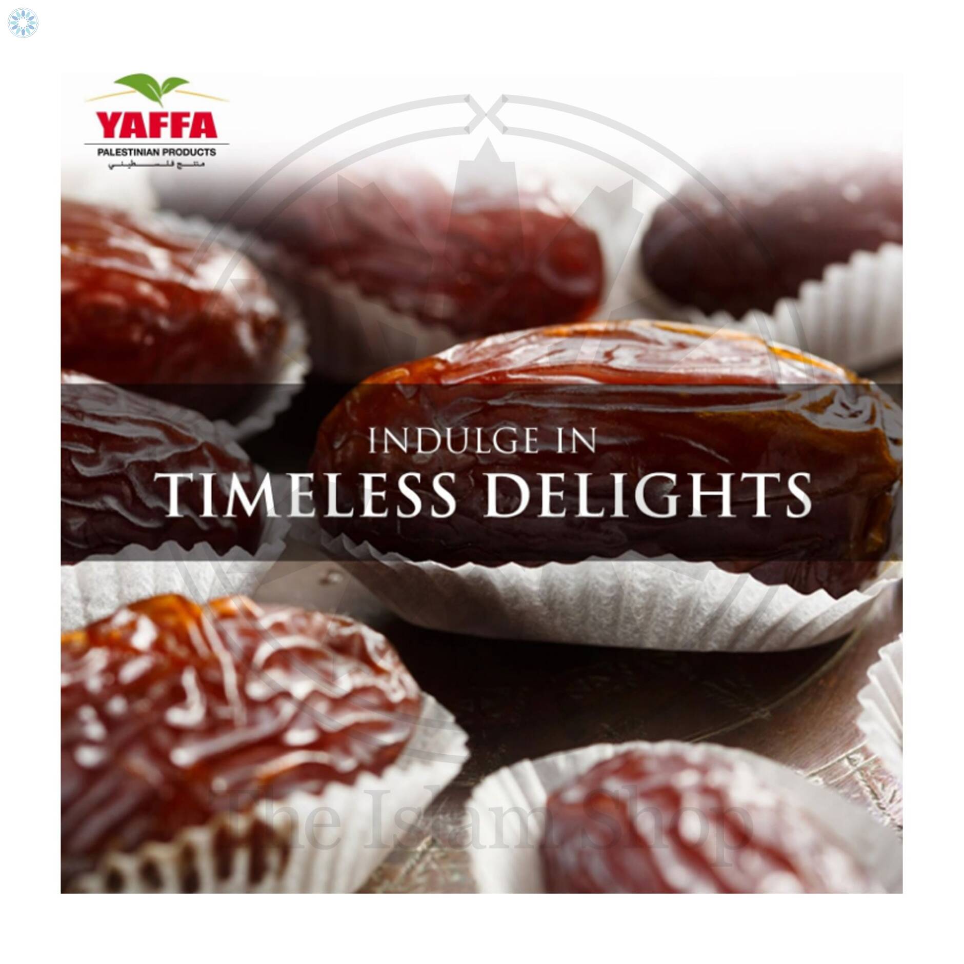 Halal Foods › Palestinian Products › Palestinian Medjoul Dates Medium ...